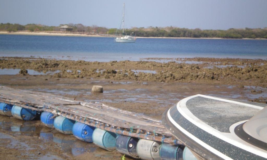History of Blue Plastic Barrels - BlueBarrel Rainwater
