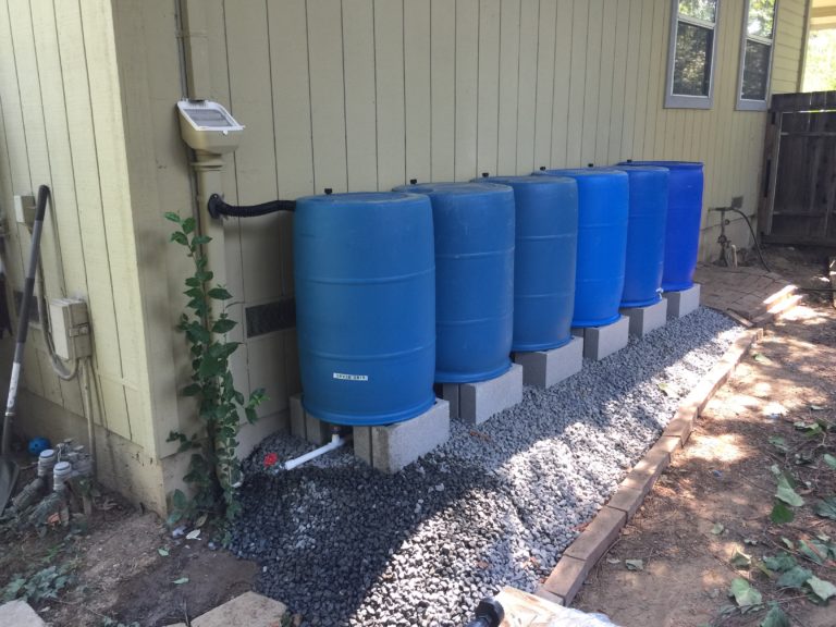 Customer Reviews - BlueBarrel Rainwater