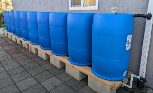 Customer Reviews - BlueBarrel RainwaterBlueBarrel Rainwater