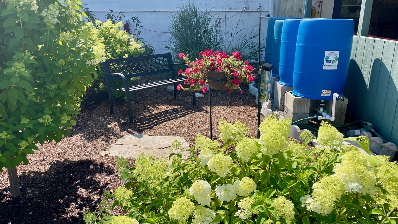Customer Reviews - BlueBarrel RainwaterBlueBarrel Rainwater